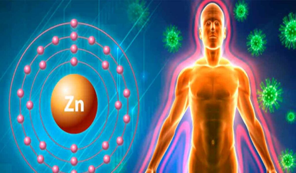 Zincul este un oligoelement esential pentru corpul uman – Fabricat In ...