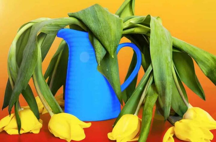Drojdia- Ingrasamant natural pentru flori si plante ornamentale