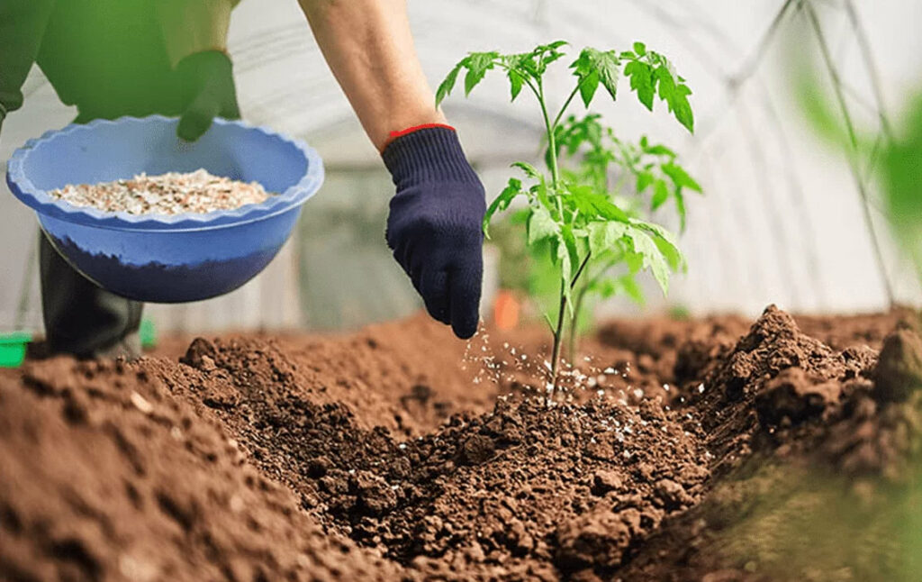 Cel mai bun ingrasamant natural pentru gradina – Fabricat In Romania ...